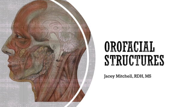 Orofacial Structures | PPT