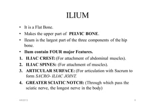 2 Osteology_of_the_lower_limb[1].1111111pptx | PPTX