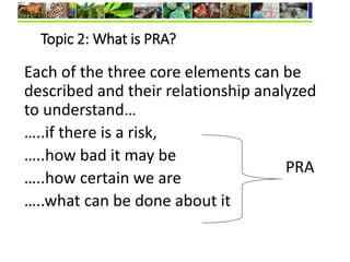 2_Overview of PRA.pdf