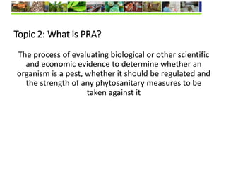 2_Overview of PRA.pdf