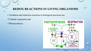 oxidation reduction reaction in living organisms | PPTX