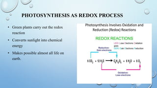 oxidation reduction reaction in living organisms | PPTX | Chemistry ...