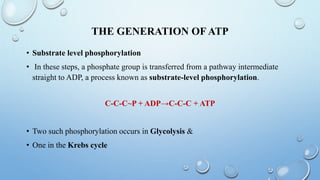 oxidation reduction reaction in living organisms | PPTX