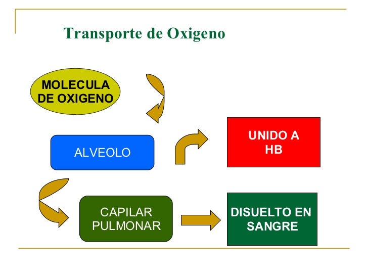 2. Oxigenoterapia