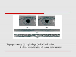Iris Biometric for Person Identification | PPT