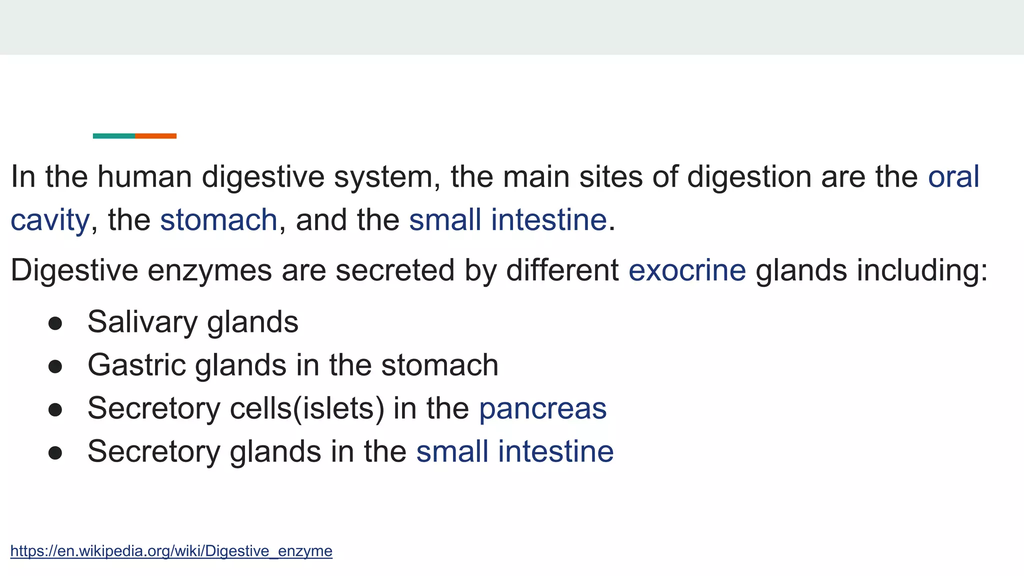 Nutrition in animals | PPTX
