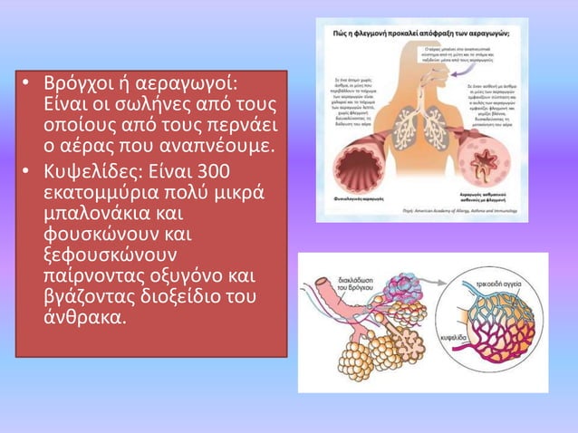 2pal st2 kapnisma kai pnevmones | PPT