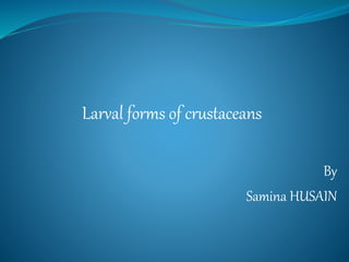 larval forms of crustaceans | PPTX