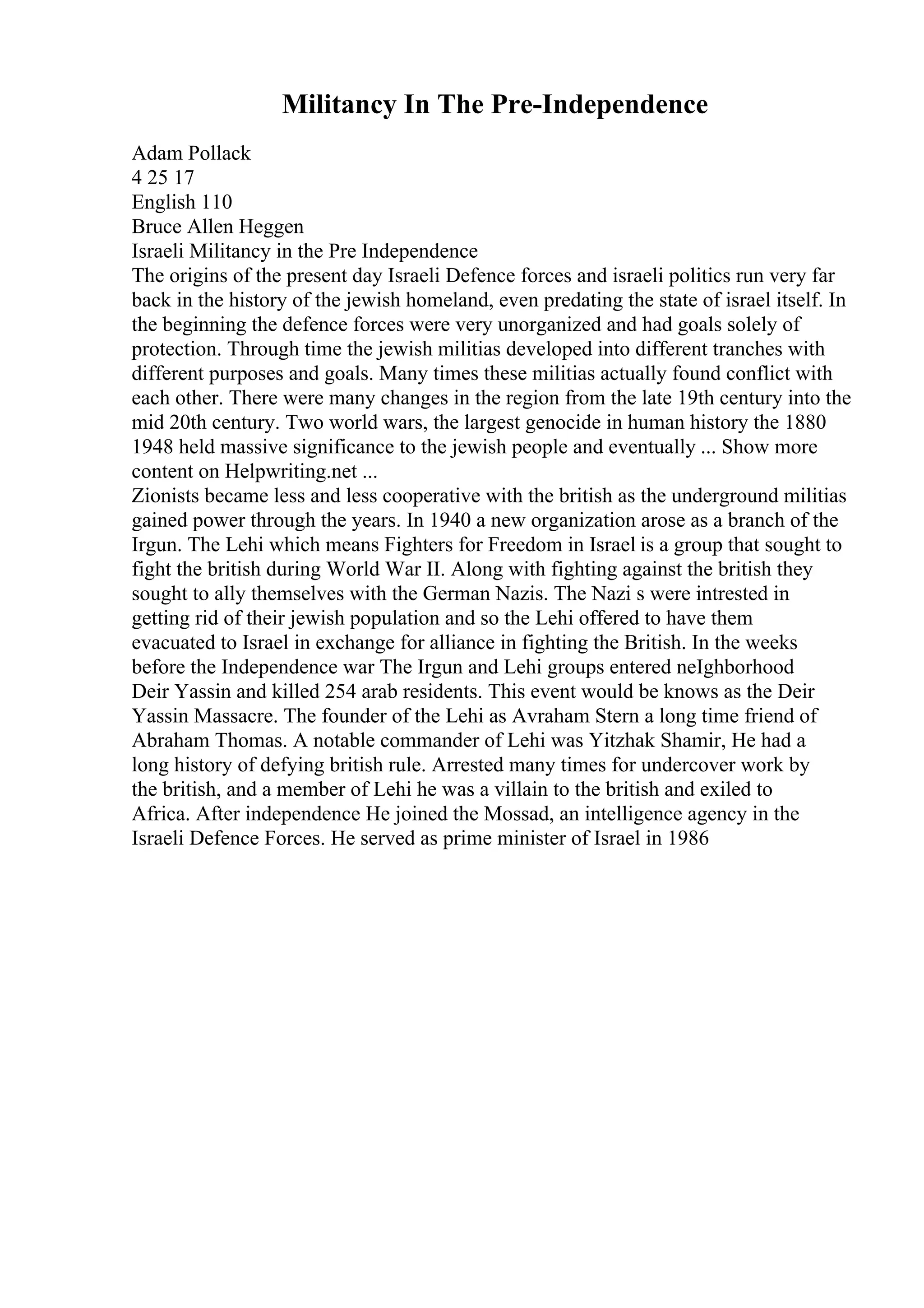 2 Paragraph Essay | PDF