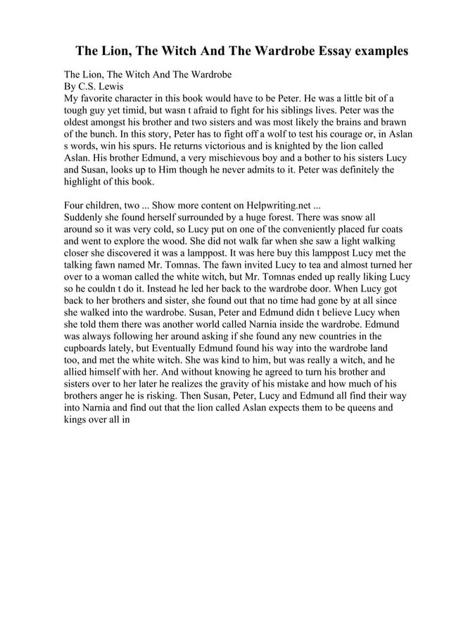 2 Paragraph Essay | PDF