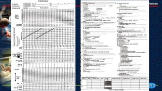 2Pengisian PARTOGRAF dalam pemantauan persaliananppt.pptx