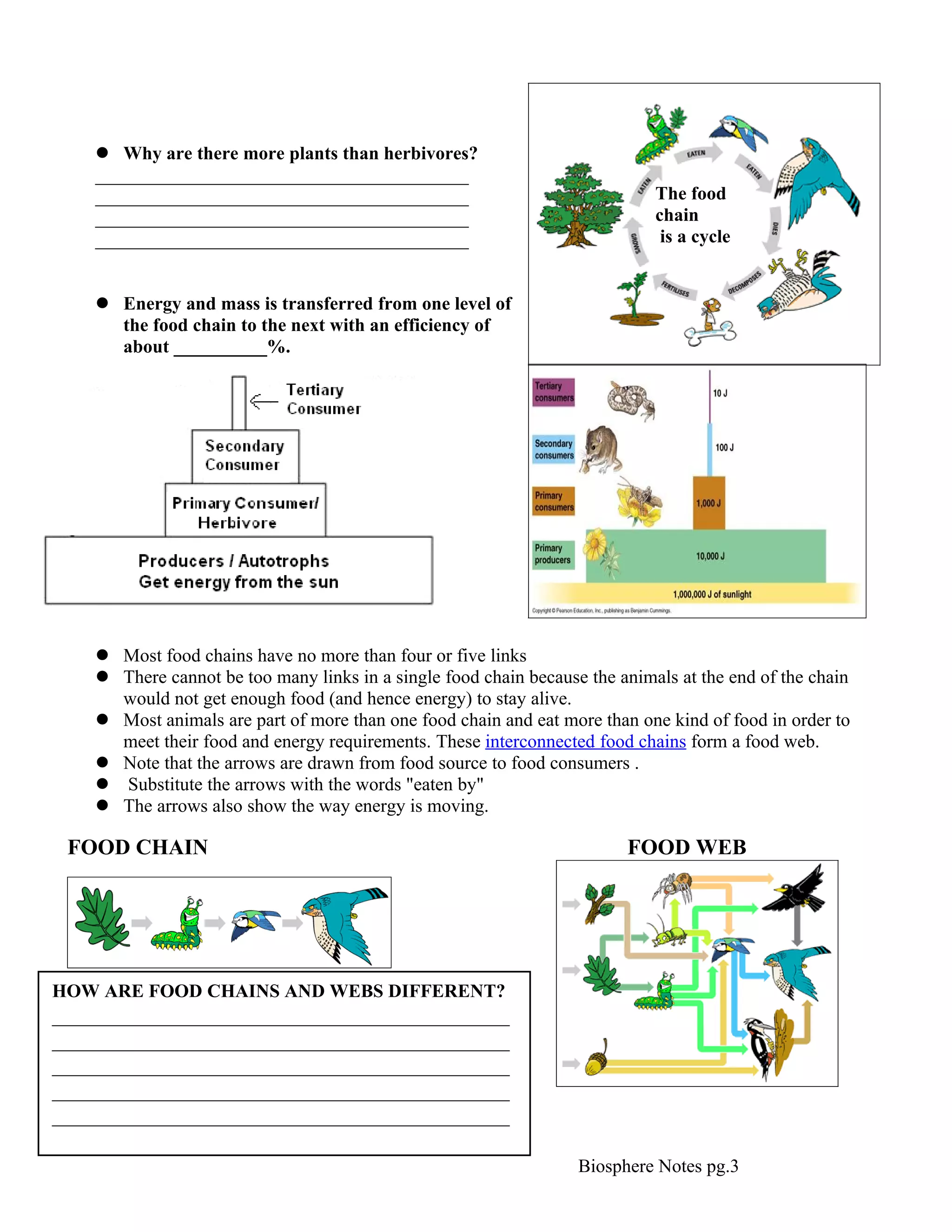 Earth Science. Biosphere student notes | DOC