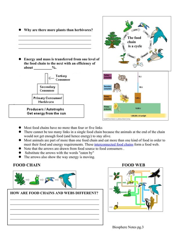 Earth Science. Biosphere student notes | DOC | Geography | Science