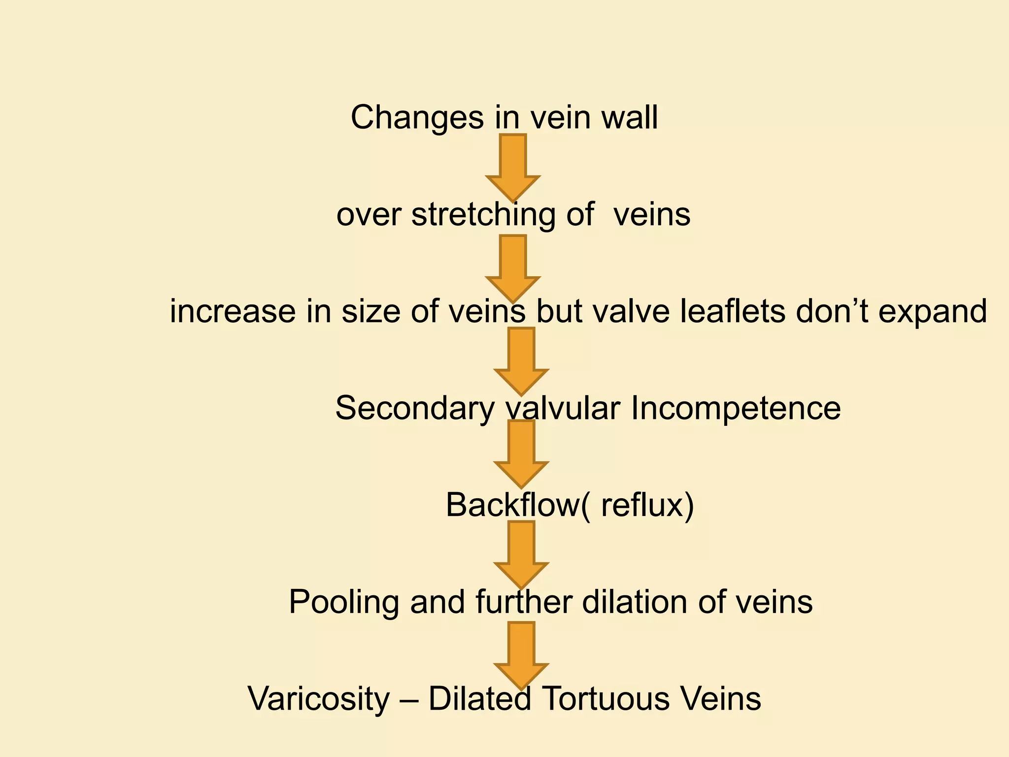 PATHOPHYSIOLOGY OF VARICOSE VEINS | PPTX | Heart and Cardiovascular ...