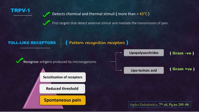 Dental pain (Irreversible pulpitis: Pathophysiology) | PPTX