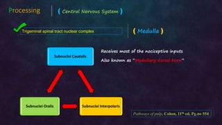 Dental pain (Irreversible pulpitis: Pathophysiology) | PPTX