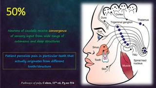 Dental pain (Irreversible pulpitis: Pathophysiology) | PPT