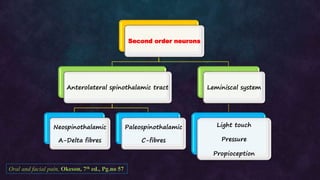 Dental pain (Irreversible pulpitis: Pathophysiology) | PPT