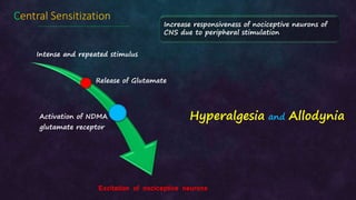 Dental pain (Irreversible pulpitis: Pathophysiology) | PPT