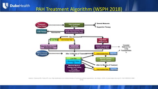 Pulmonary Hypertension Basics 2023.pptx