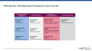 Pulmonary Hypertension Basics 2023.pptx