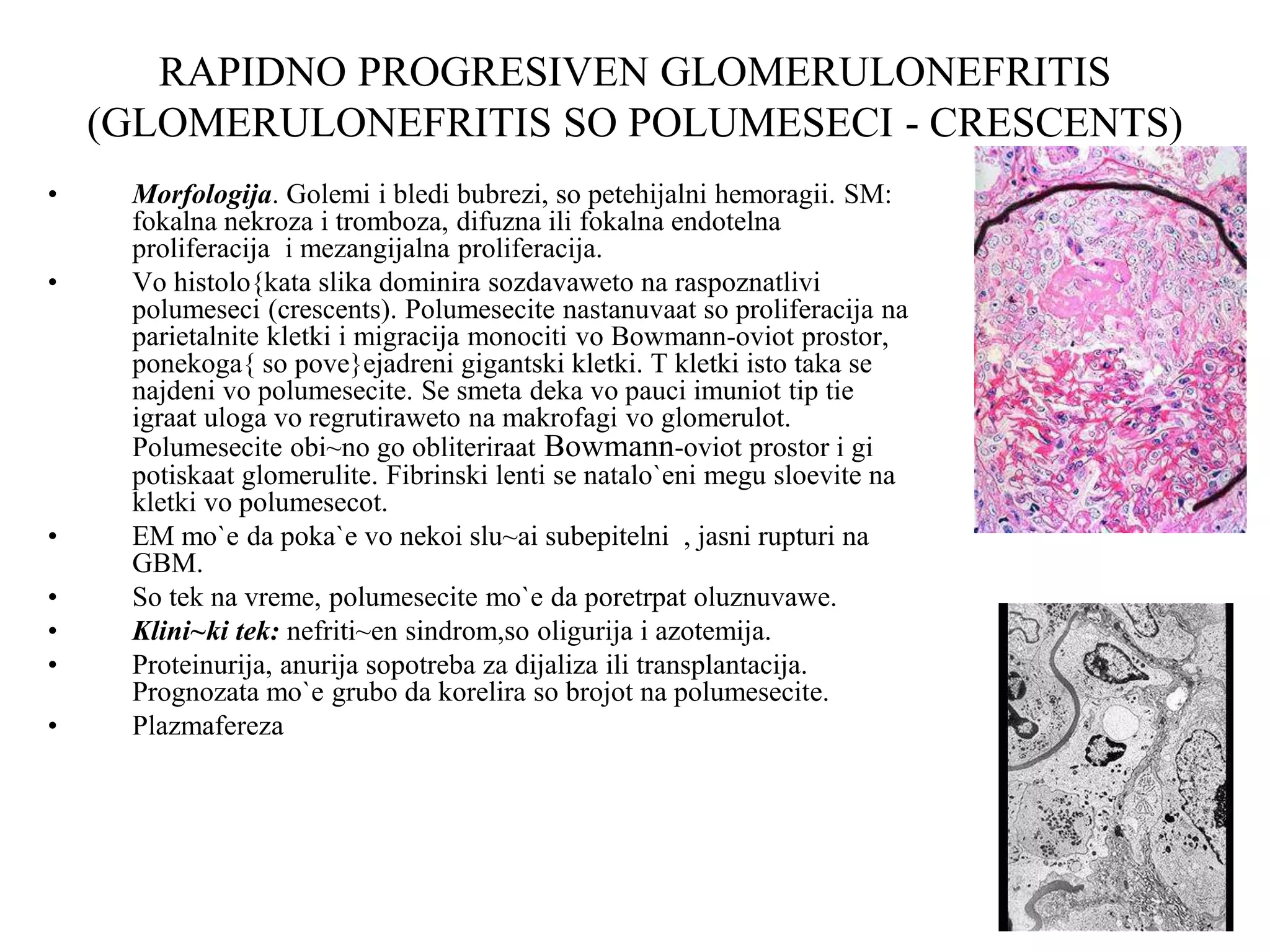 2 PATOL. URINAREN SISTEM (1).ppt