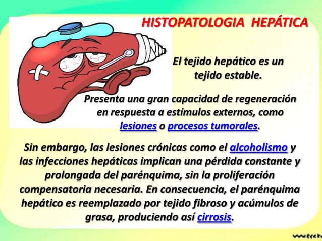 # 2 patologias hepaticas | PPTX