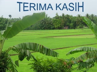 2_ Pengertian AGRIBISNIS.pdf