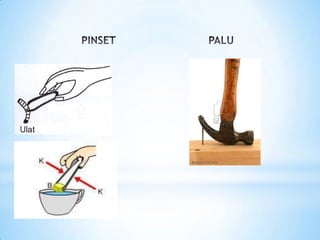 2 pengungkit tuas | PPT