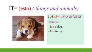 personal pronouns ppt unit 2 | PPTX