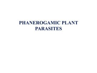 2 Phanerogamic Plant Paracite their types | PDF