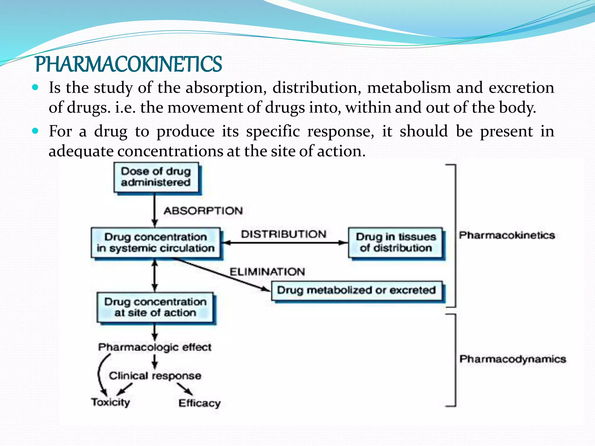 2) PHARMACOKINETICS.pptx
