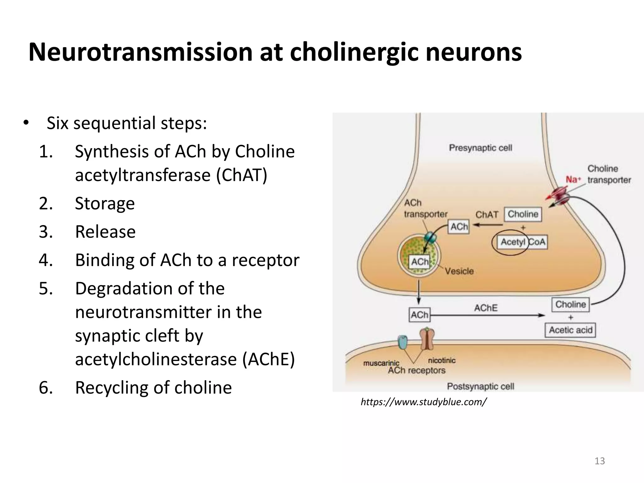 2 Pharmacology I, intro ANS cholinergic drugs.pptx
