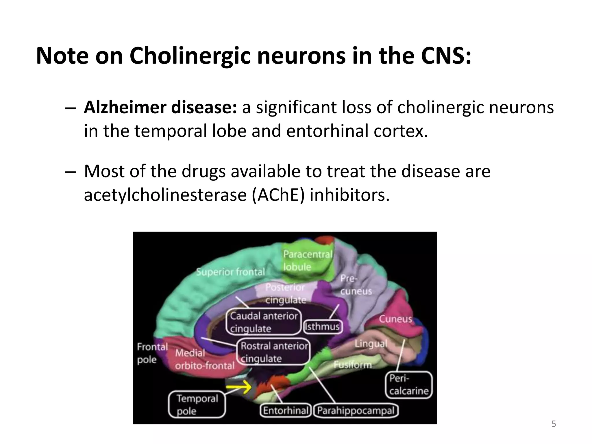 2 Pharmacology I, intro ANS cholinergic drugs.pptx