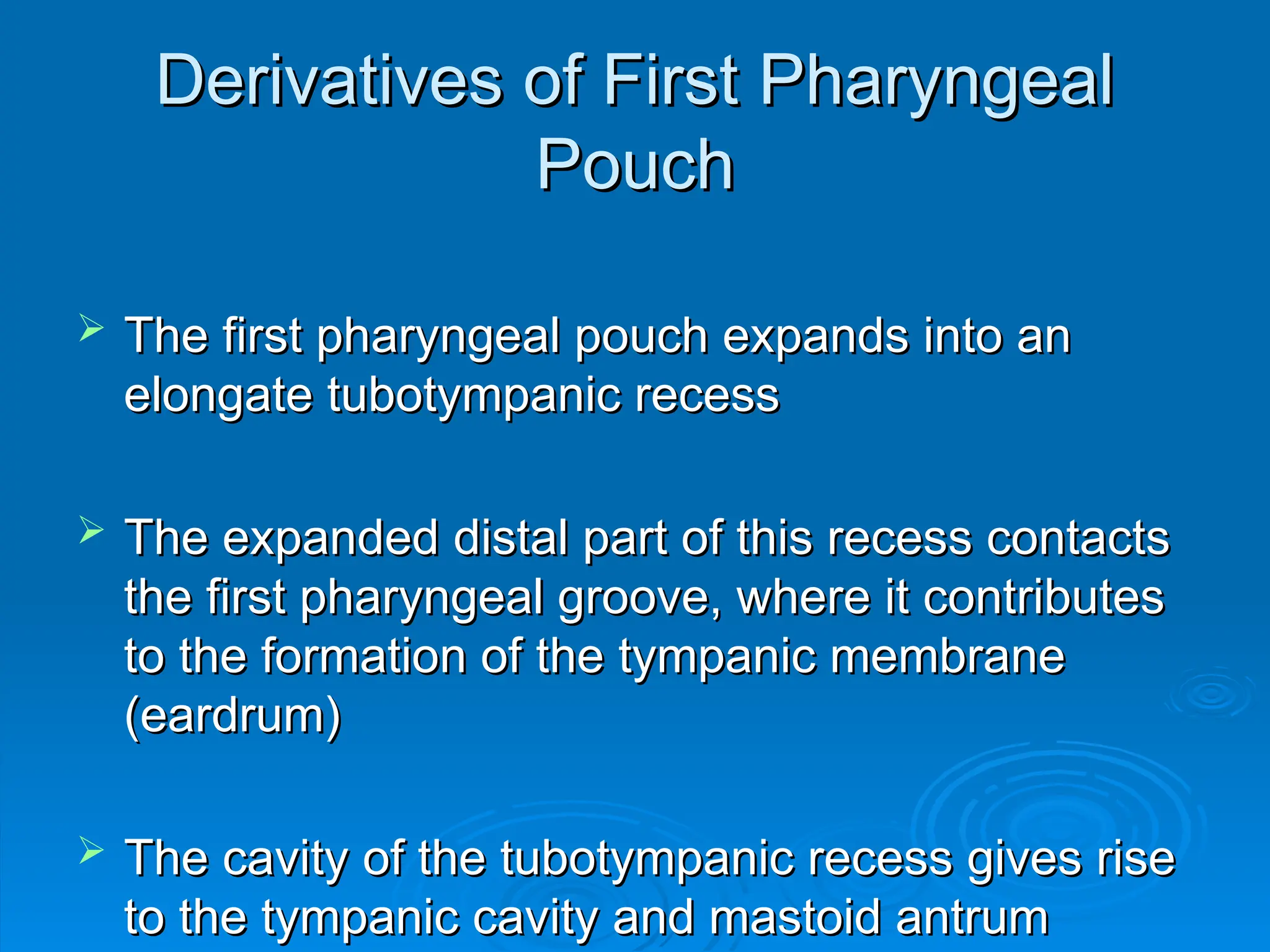 2 Pharyngeal Arches, Pouches and Clefts.ppt