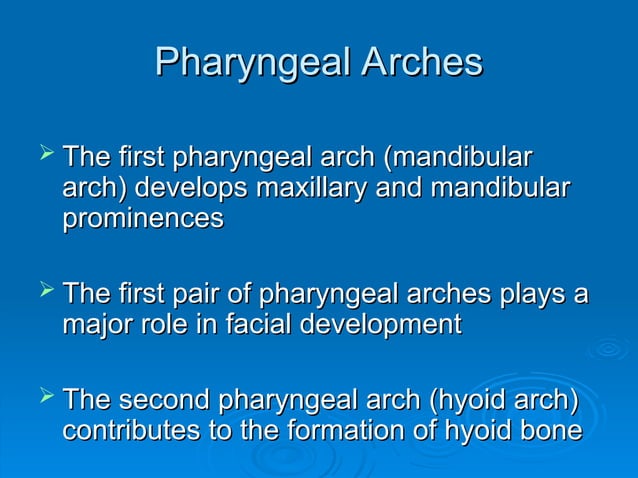 2 Pharyngeal Arches, Pouches and Clefts.ppt