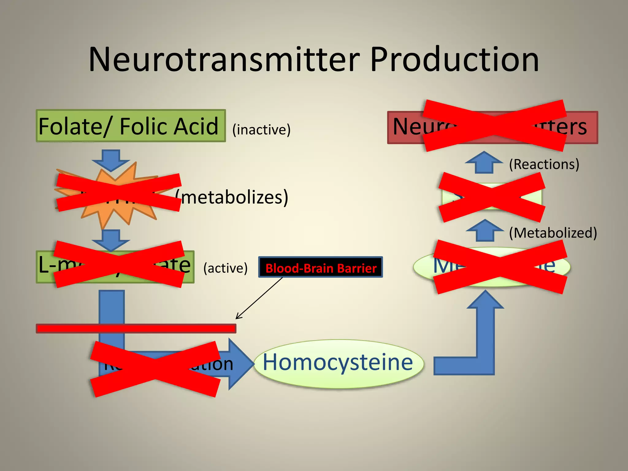 Capstone Presentation MTHFR | PPTX