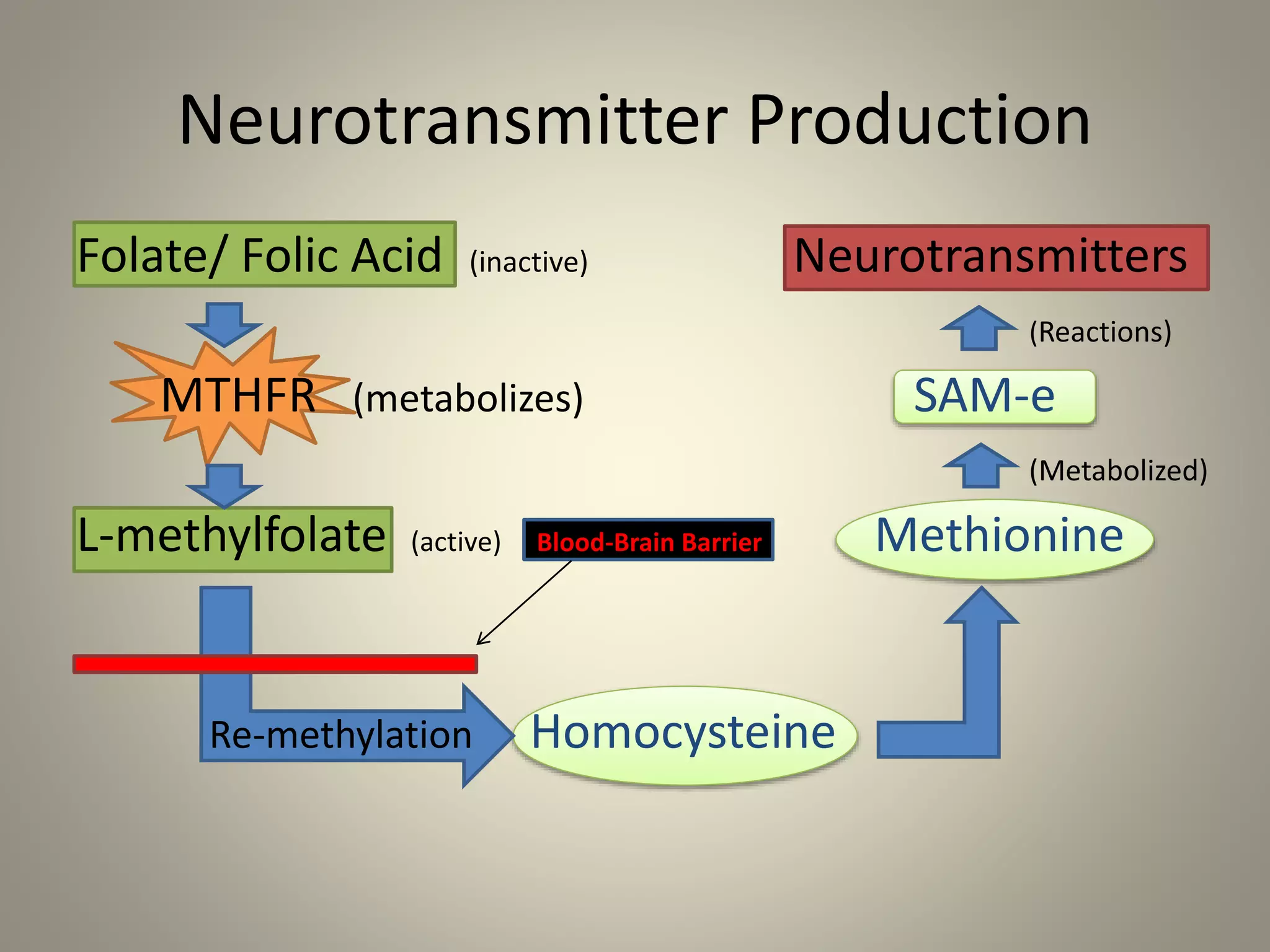 Capstone Presentation MTHFR | PPTX