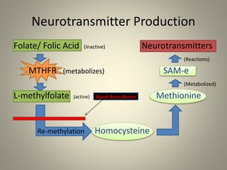 Capstone Presentation MTHFR | PPTX