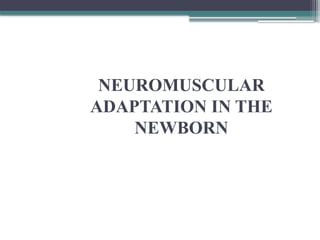 2 Physiological Adaptation of the Newborn .pptx