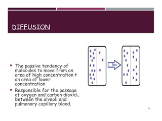 physiology of pulmonary system in cardiology | PPTX