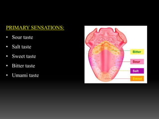 Physiology of taste | PPTX