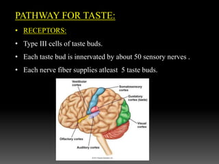 Physiology of taste | PPTX