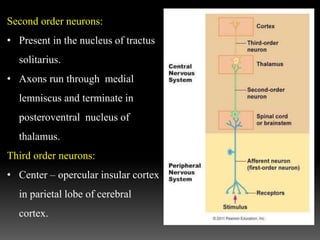 Physiology of taste | PPTX