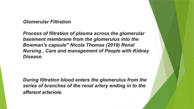 PHYSIOLOGY OF THE RENAL SYSTEM MADE EASY M. pptx | PPTX | Chemistry ...