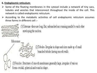 2 Plant Cell physiology and their role tt | PPT