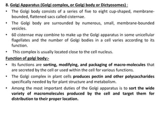 2 Plant Cell physiology and their role tt | PPT