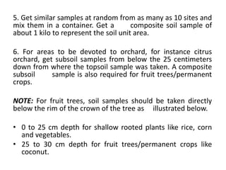 2 PLANT CROPS.pptx