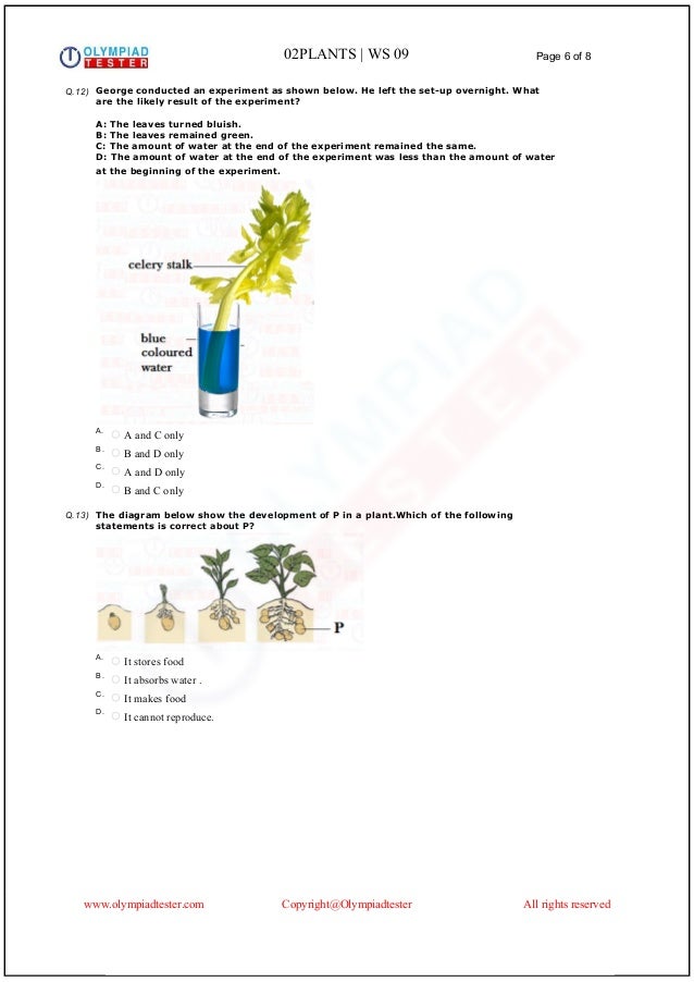 Class 2 Science Olympiad Sample paper on Plants - Set 02