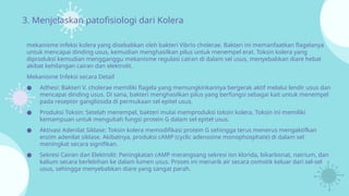 "Analisis Kasus Kolera pada Anak: Identifikasi, Diagnosis, dan ...